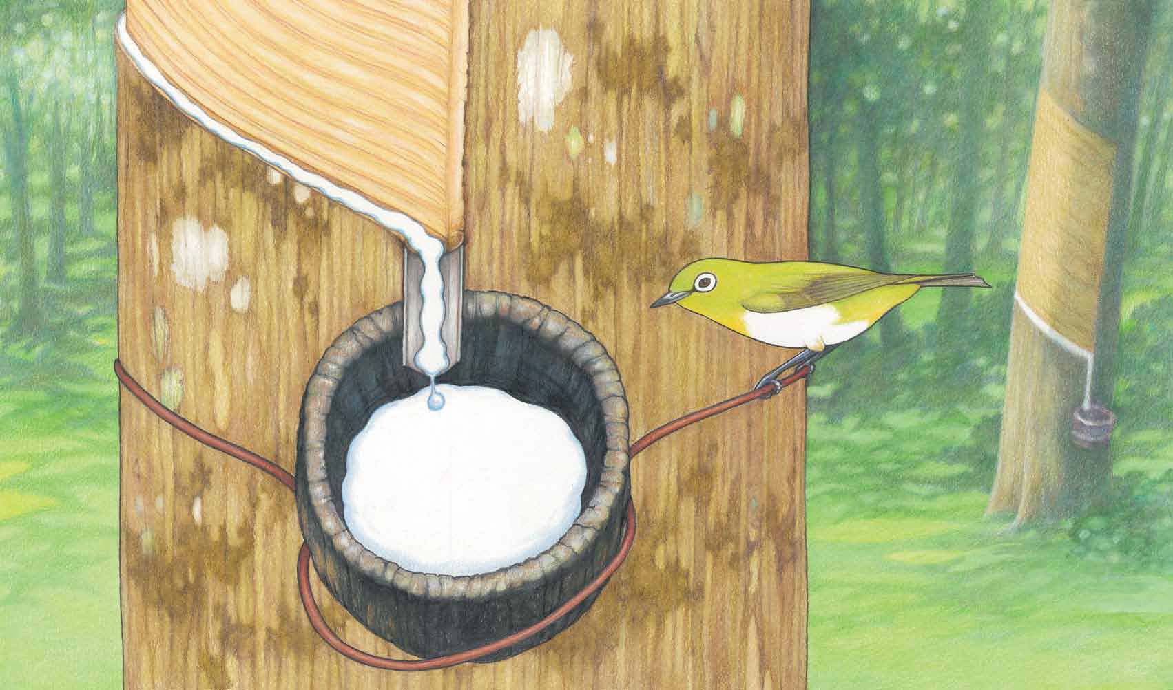 Balloon Trees (English and Spanish) – Danna Smith Author
